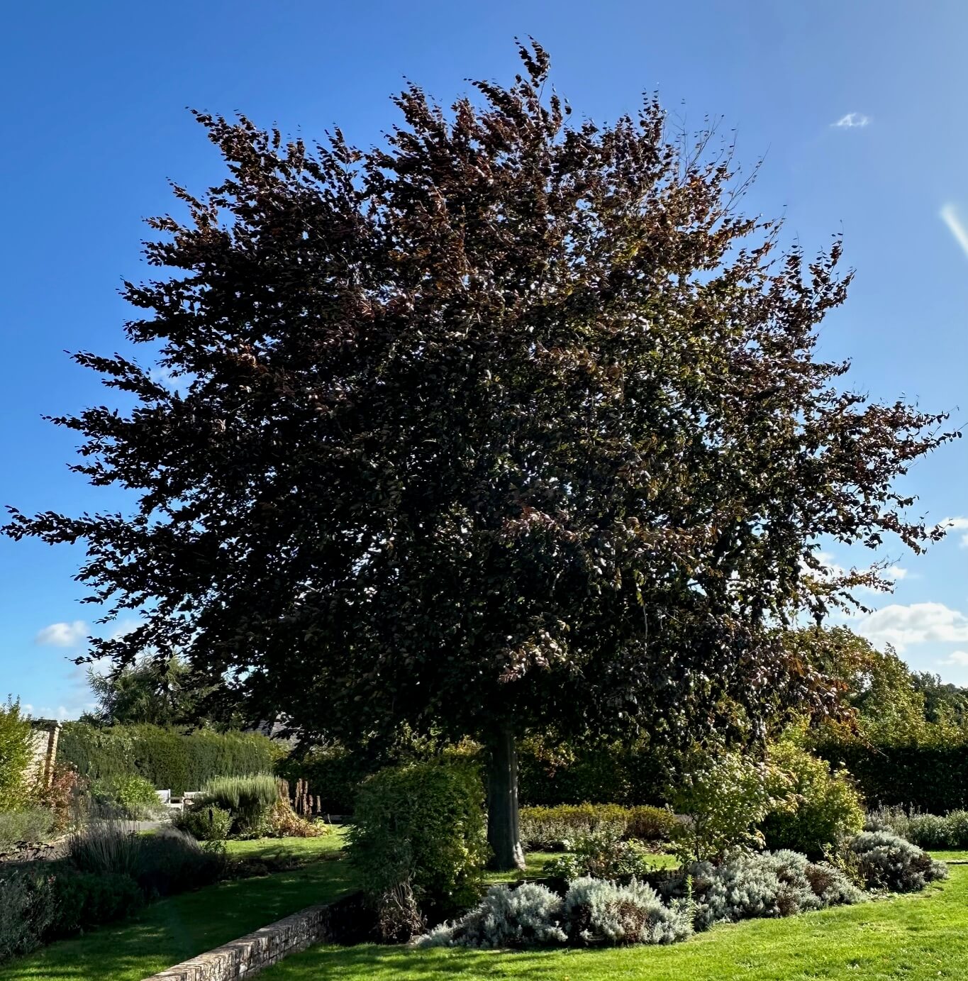 Tangible symbols for peace | The monument | Woodbridge Trees for Peace